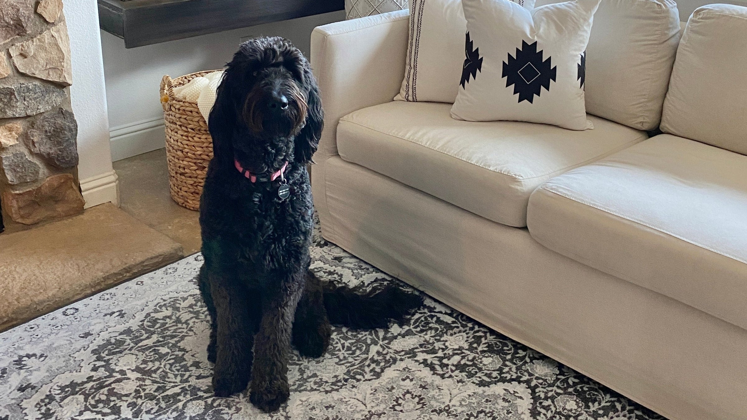 Shop Rugs By Shape – My Magic Carpet | Washable Rugs